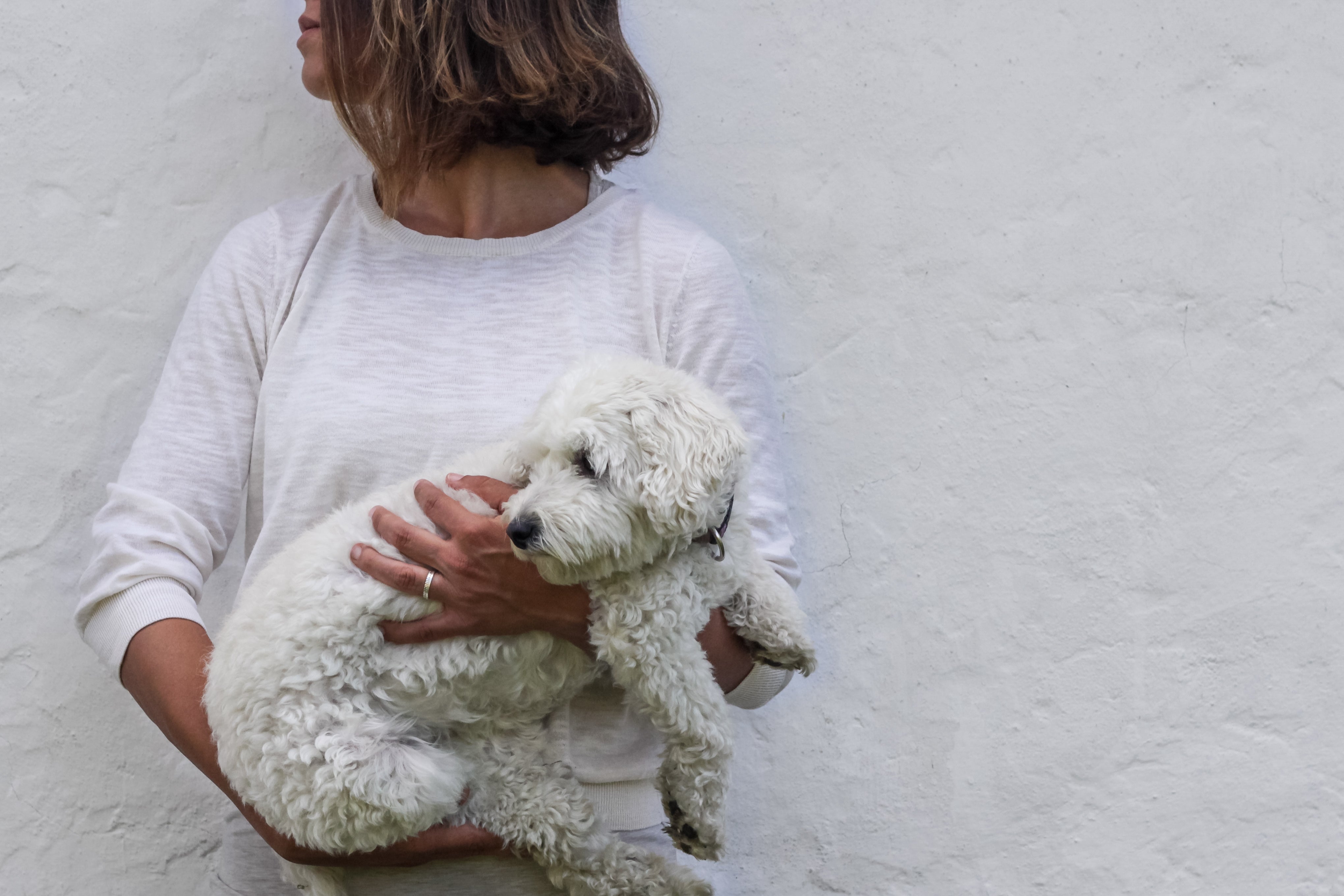 Dogs and Your Mental Health – The Smug Dog